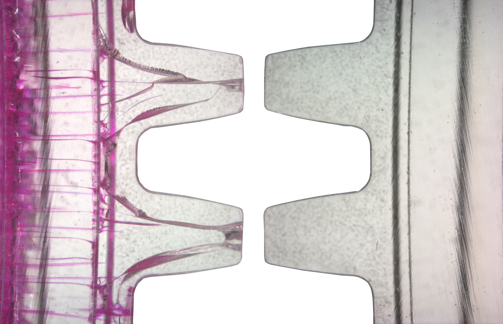 Grilamid TR – Transparent, high-performance polyamides without weaknesses