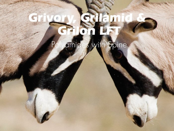 Products EMS-GRIVORY