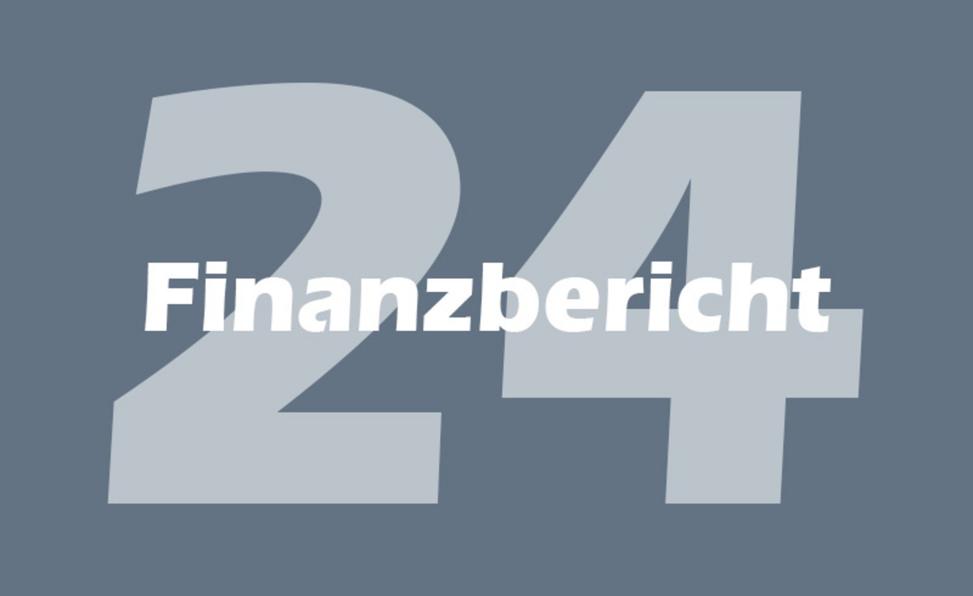 Finanzbericht 2024 der EMS-Gruppe