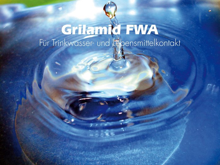 EMS-GRIVORY Produkte