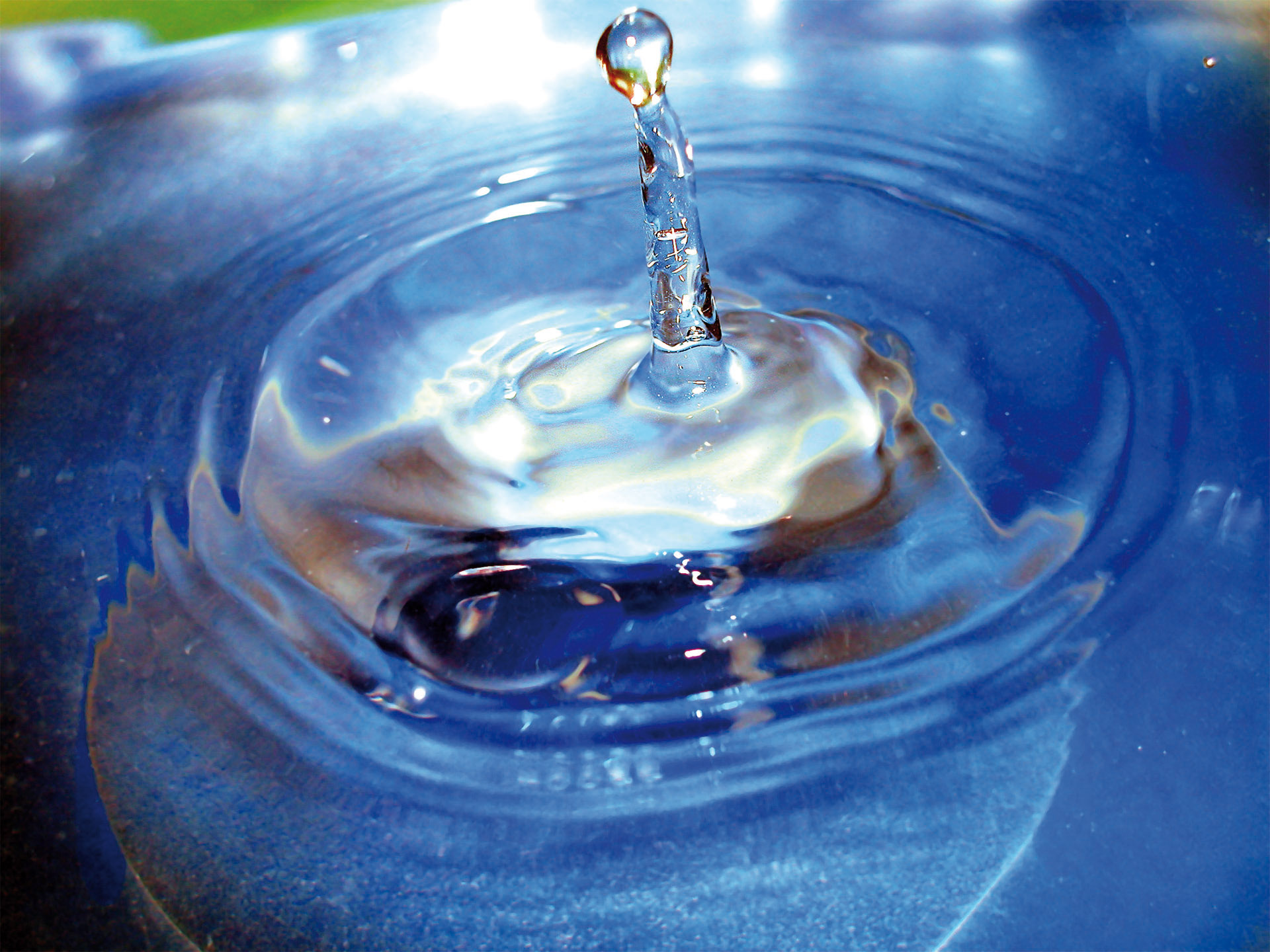 Grilamid FWA - EMS-GRIVORY